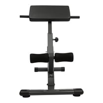 Lumbar X 45 Degree Back Extension Machine - Adjustable Roman Chair ...