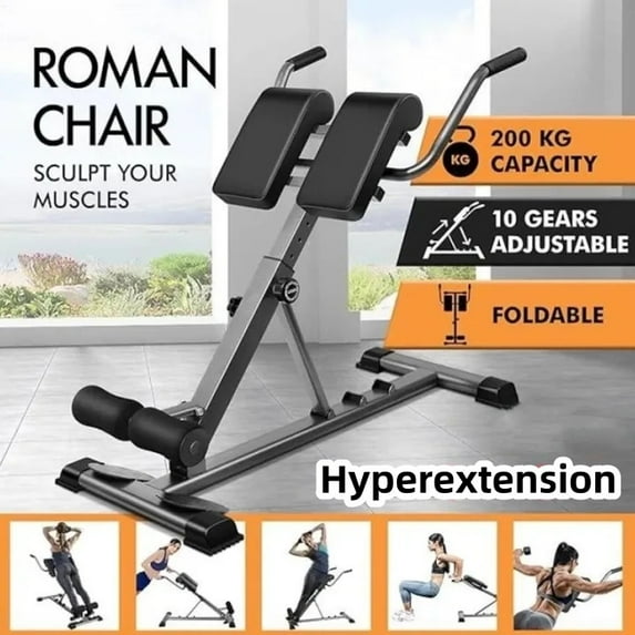 Roman Chair,Multi-Functional FID Weight Bench with Dumbbell Rack ...