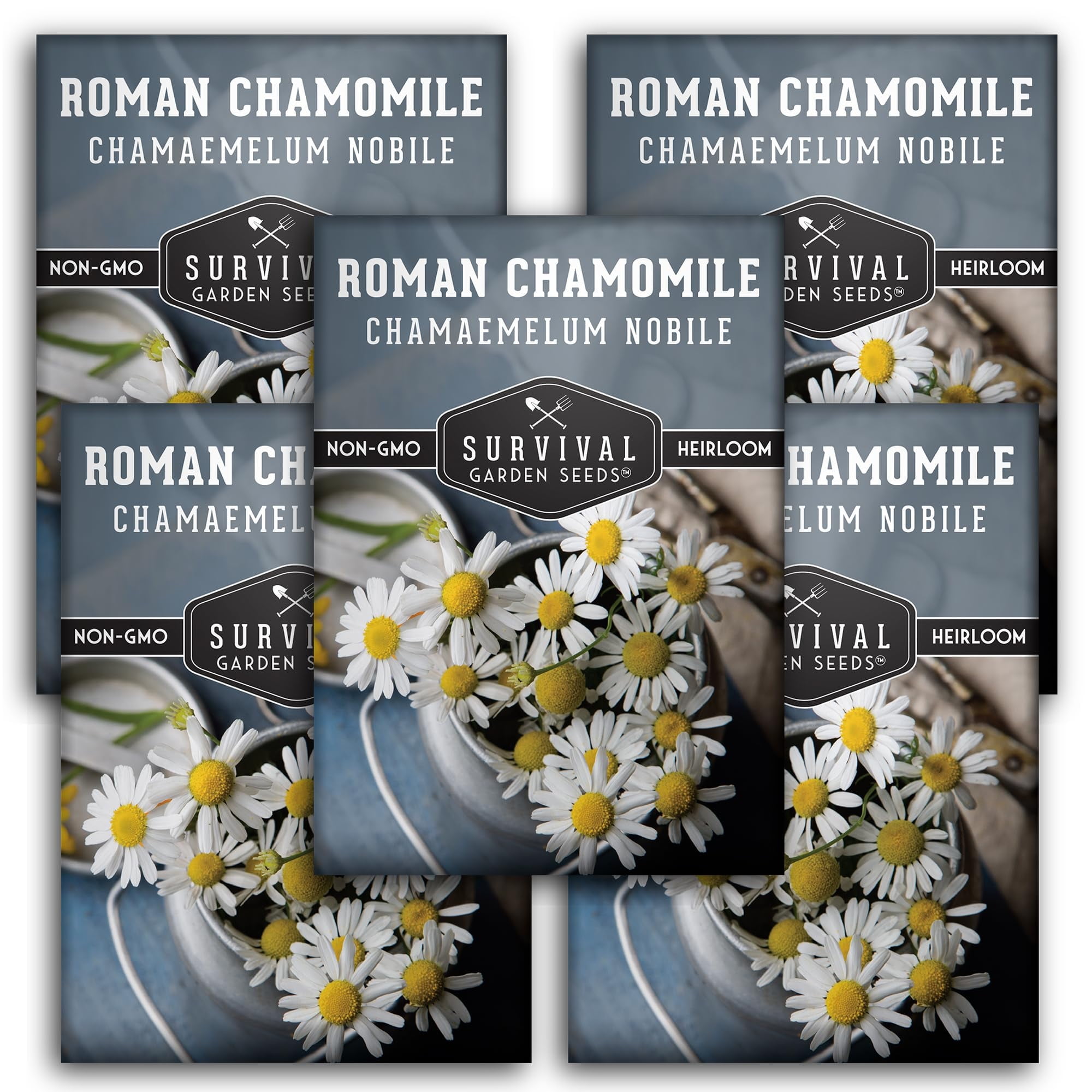 Roman Chamomile Seeds - 5 pack - Non-GMO Heirloom Full Sun Annual Herb ...