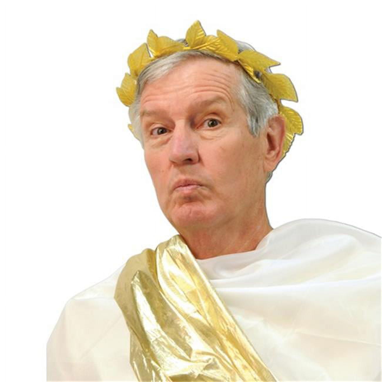 Roman Laurel Wreath - Pack of 12 - Walmart.com