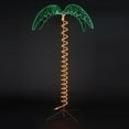 Roman Outdoor Lighted Palm Tree with Holographic Rope Light - 84 ...