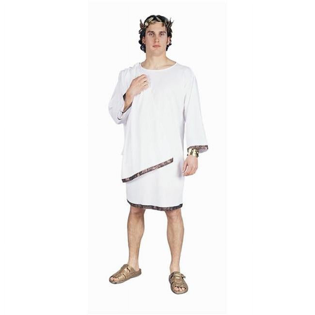 Roman Toga Costume - Size Adult Standard - Walmart.com