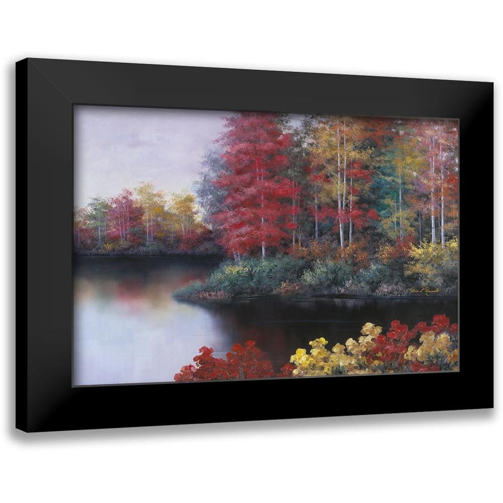 Romanello, Diane 18x13 Black Modern Framed Museum Art Print Titled ...