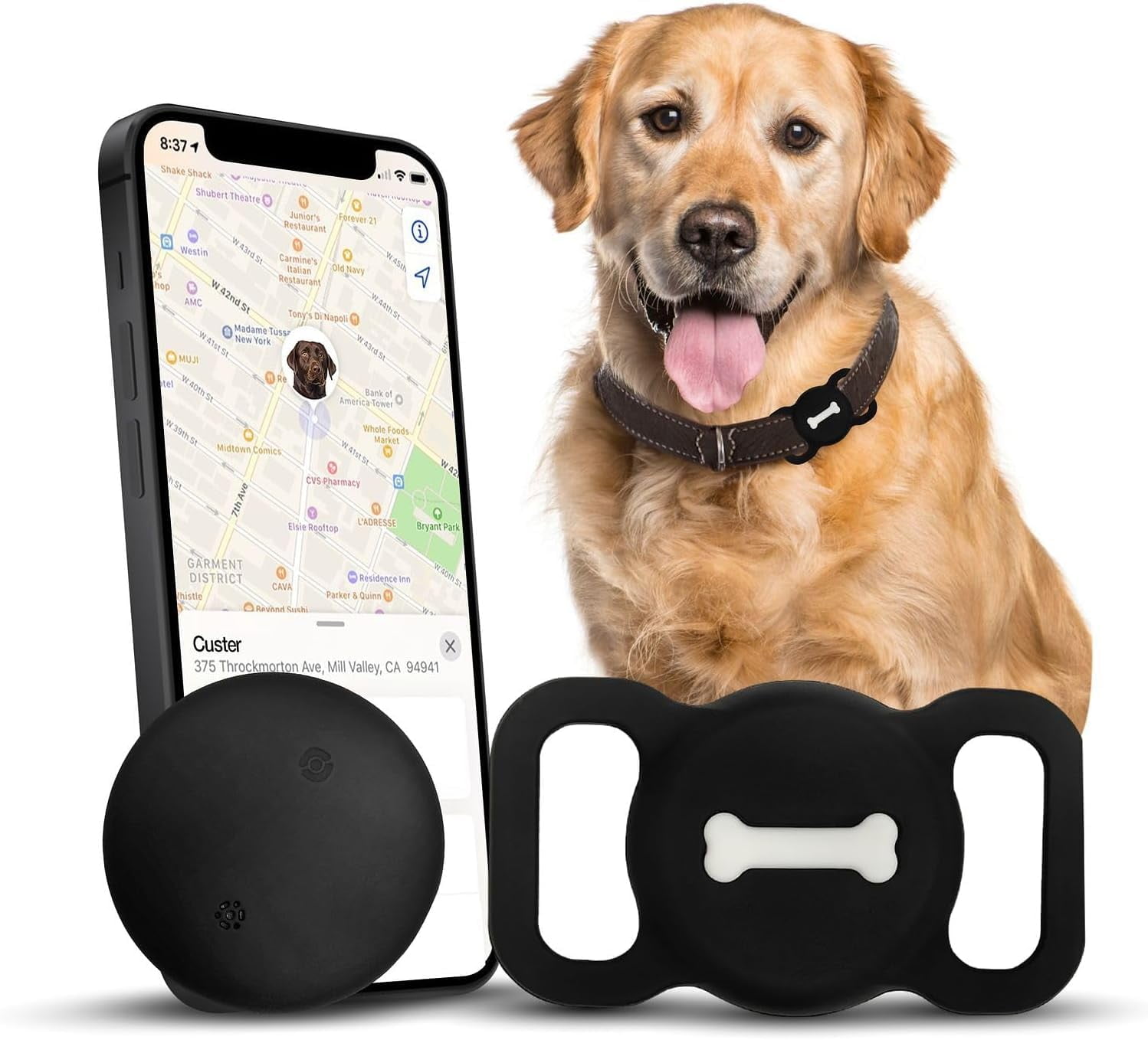 Romansei Smart Pet Tracker, Dog Tracker with Black Collar Holder, Smart Tag for Seamless ...