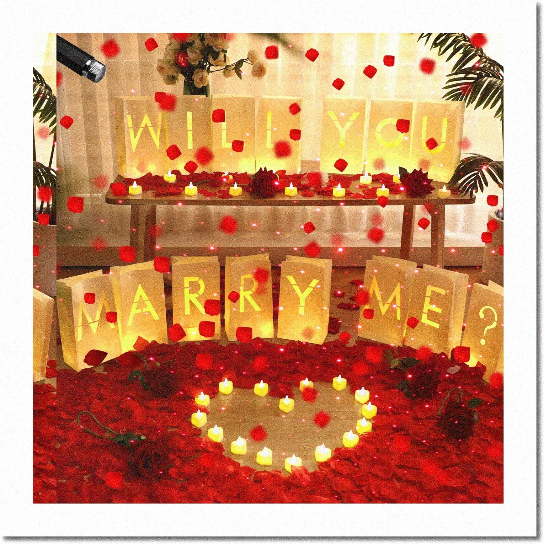 Romantic Proposal Kit: 2051 Pcs Marry Me Sign Decorations, 15 Luminary ...