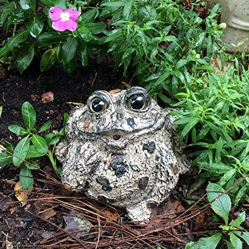 "Romeo Motion Activated Whistling Toad Statue 6", Natural Brown Frog ...