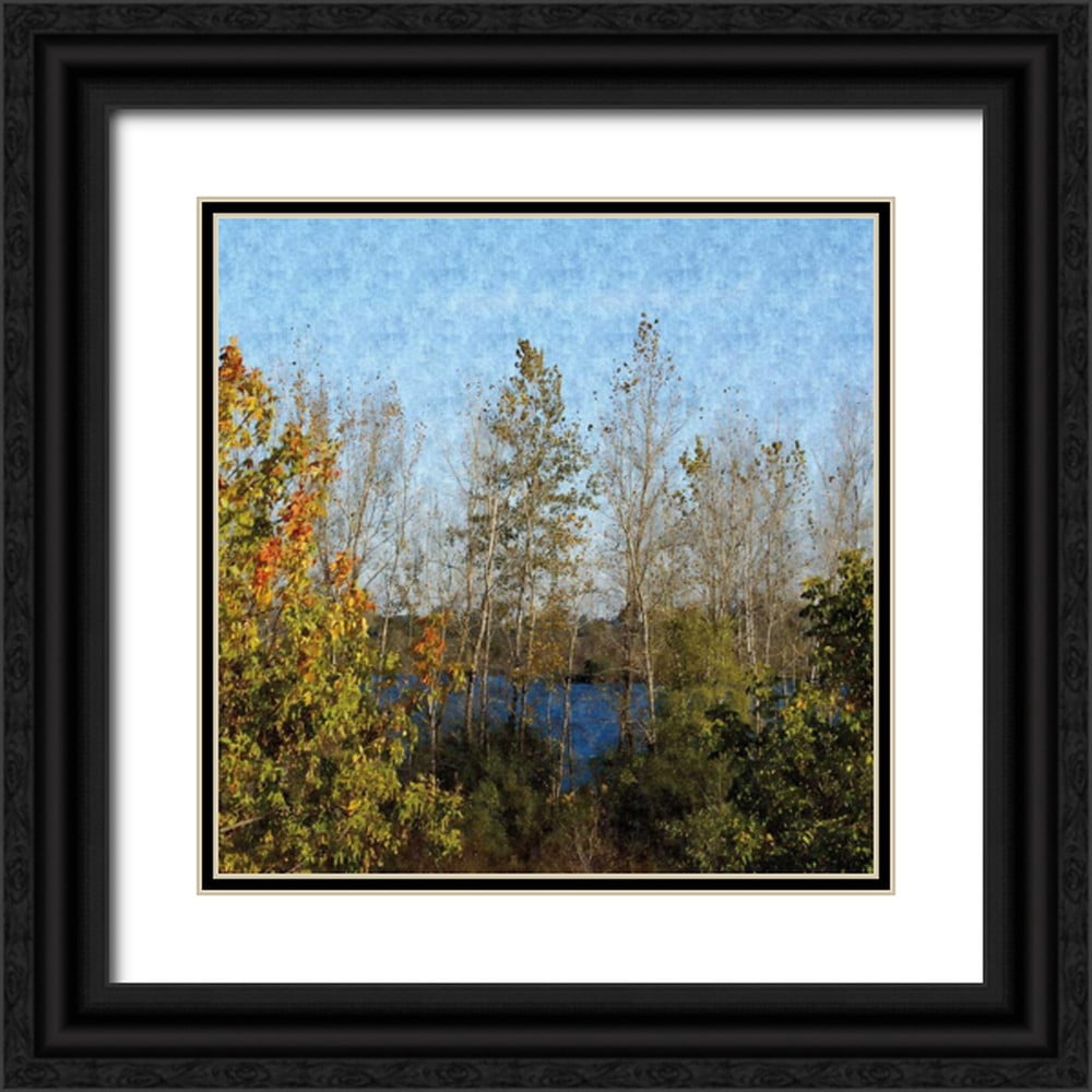 Romita, Denise 15x15 Black Ornate Wood Framed with Double Matting ...