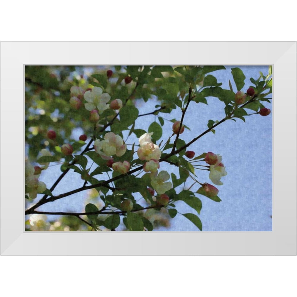 Romita, Denise 24x17 White Modern Wood Framed Museum Art Print Titled ...