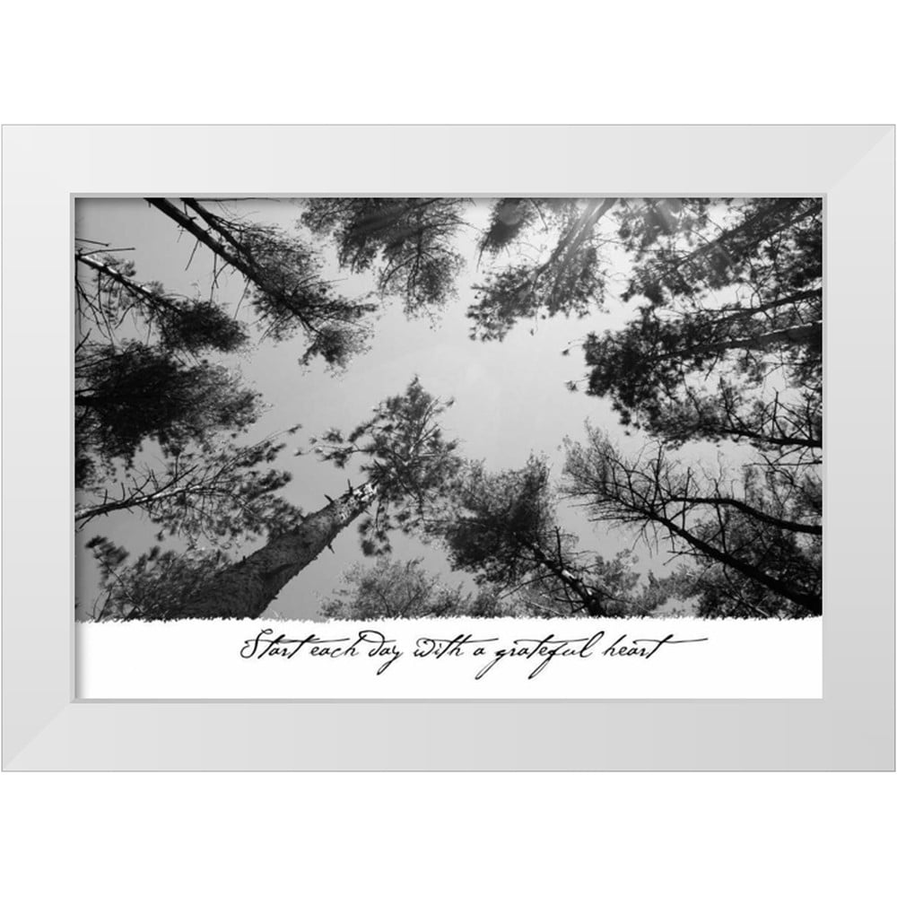 Romita, Denise 24x17 White Modern Wood Framed Museum Art Print Titled ...