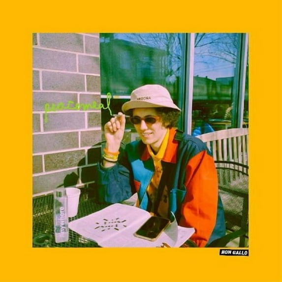 Ron Gallo - Peacemeal - Music & Performance - Vinyl - Walmart.com