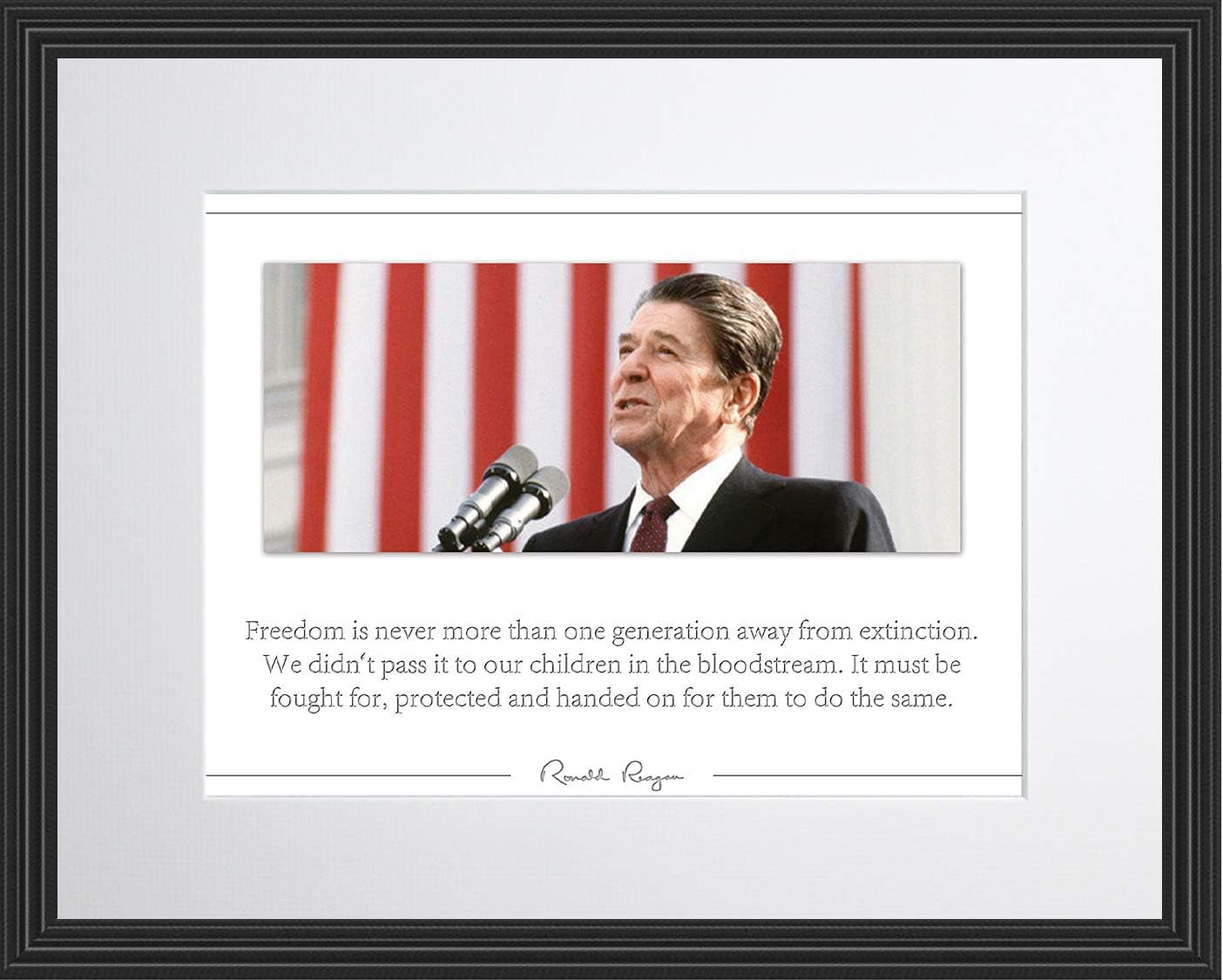 Ronald Reagan Inspirational Quote: Freedom (11x14 Framed) | (Poster ...