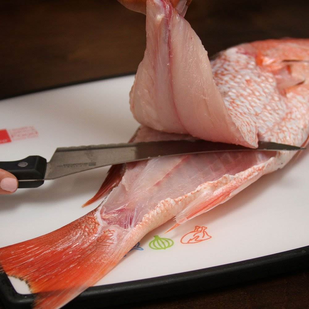 Ronco 7 Inch Stainless Steel Serrated Sportsman Fish and Wild Game ...