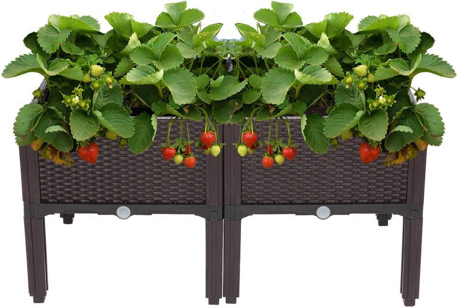 Rongfun Square Raised Garden Bed, Self-Watering Plastic Planter for ...