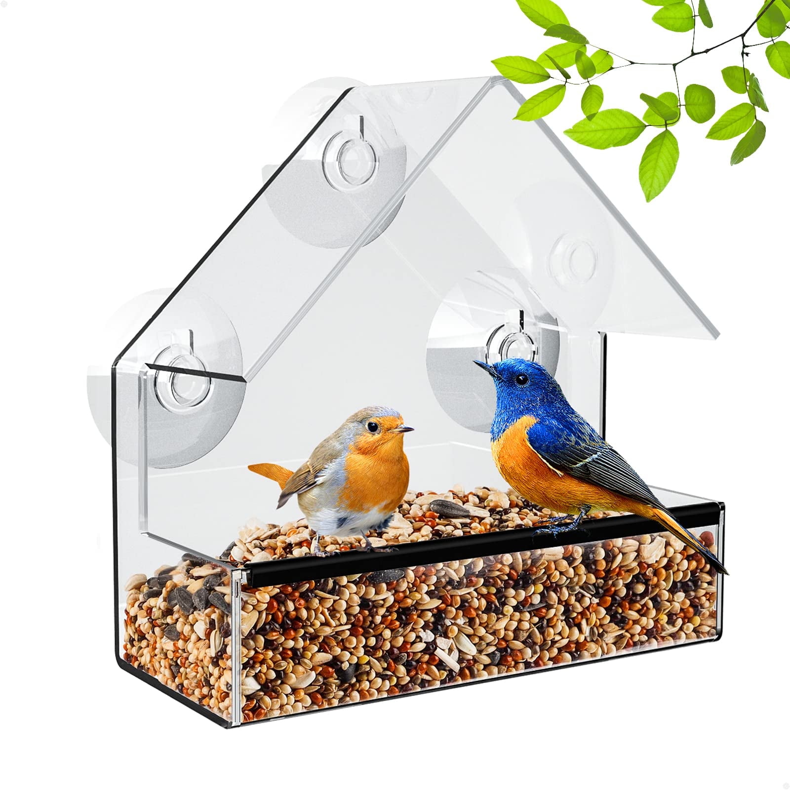 Rongsi Samll Window Bird Feeder, Clear Window Bird Feeders with Strong ...