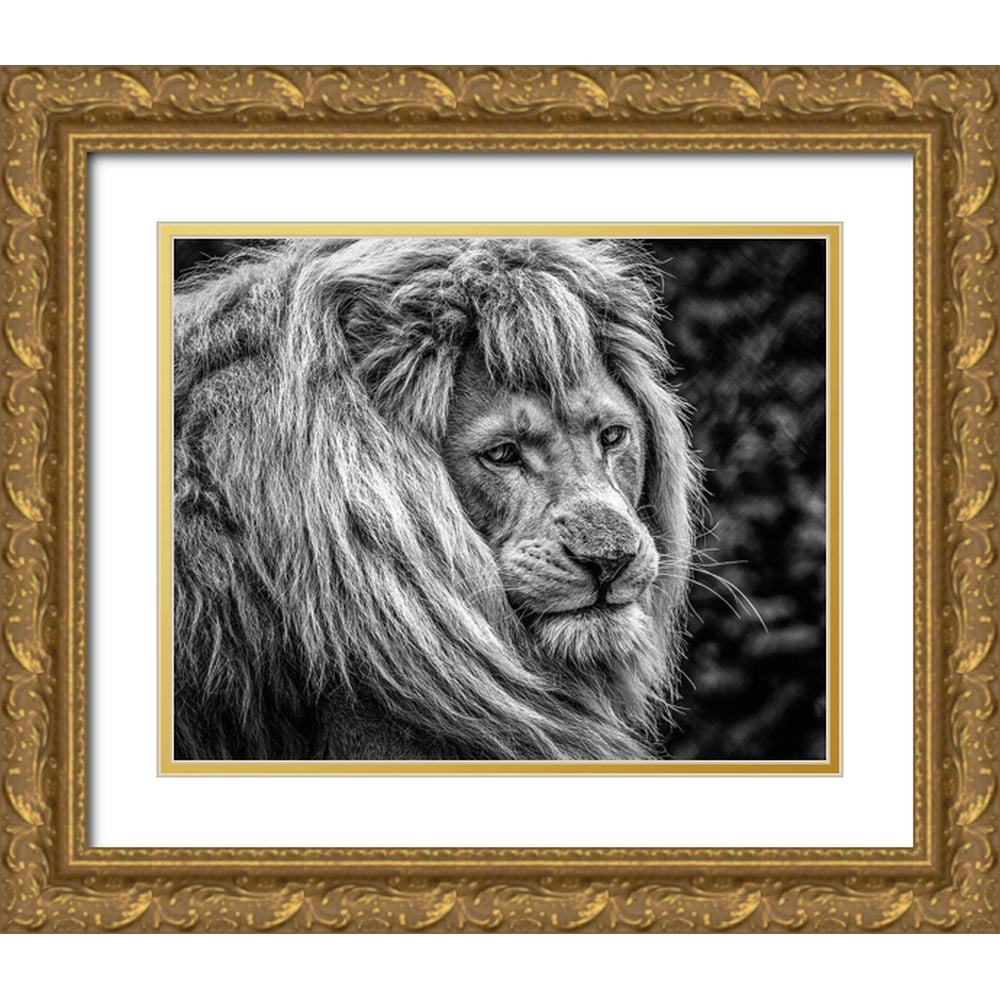 Ronin 18x15 Gold Ornate Wood Framed with Double Matting Museum Art ...