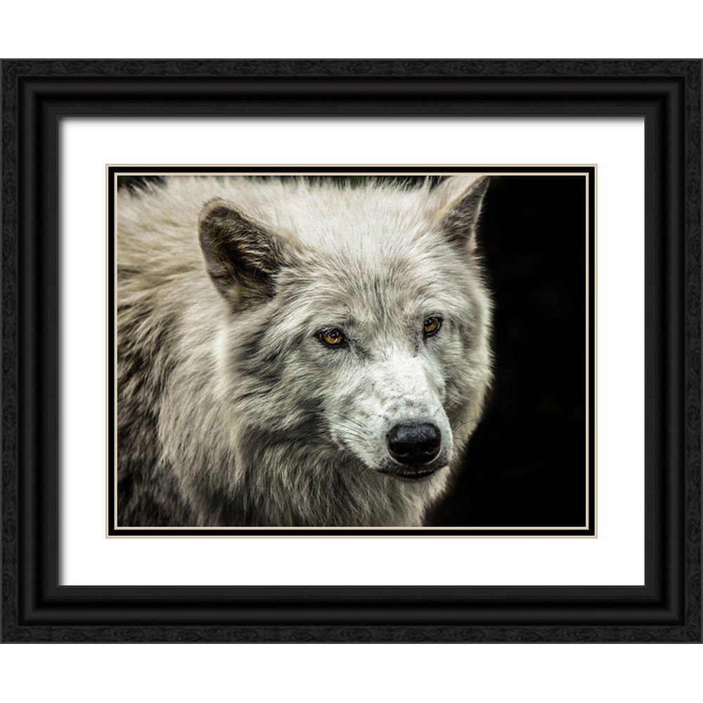 Ronin 24x19 Black Ornate Wood Framed with Double Matting Museum Art ...