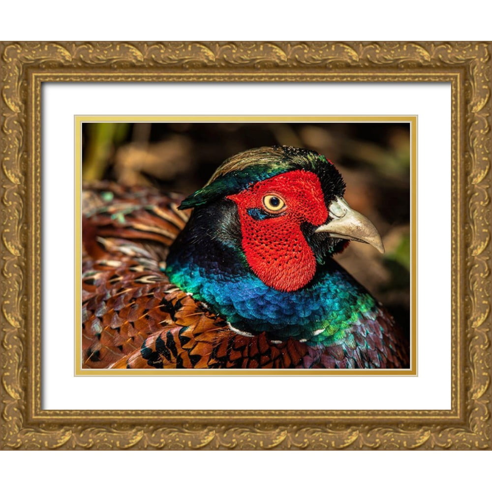 Ronin 24x19 Gold Ornate Wood Framed with Double Matting Museum Art ...