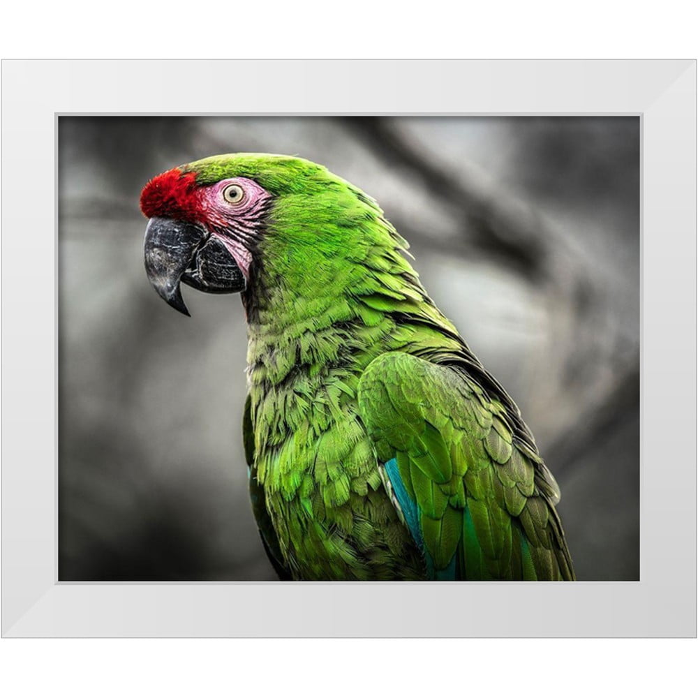 Ronin 24x20 White Modern Wood Framed Museum Art Print Titled - Green ...