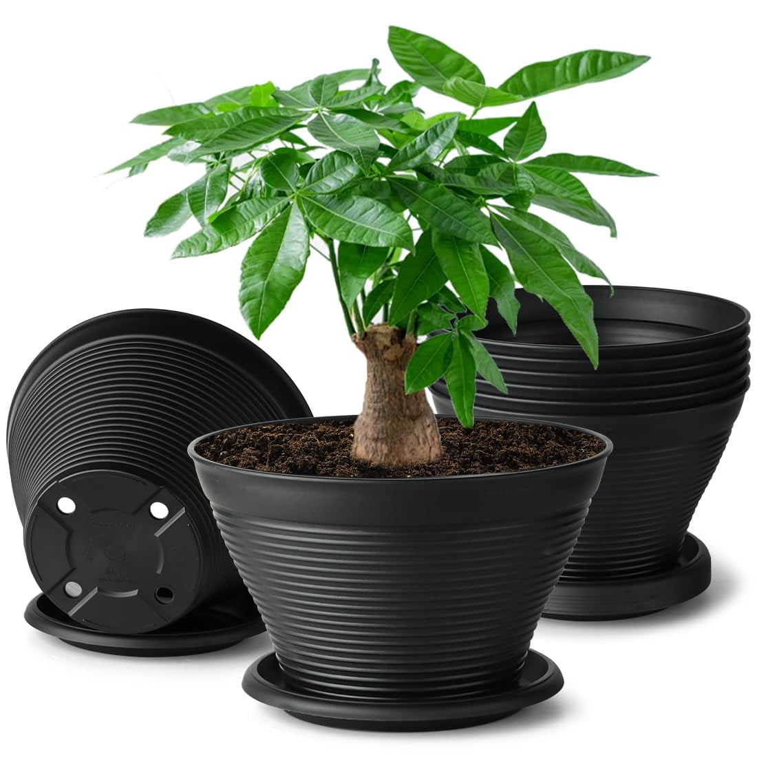 RooTrimmer 8 Inch Plastic Plant Pots, 8 Pack Large Garden Flower Planting Pots for Indoor ...