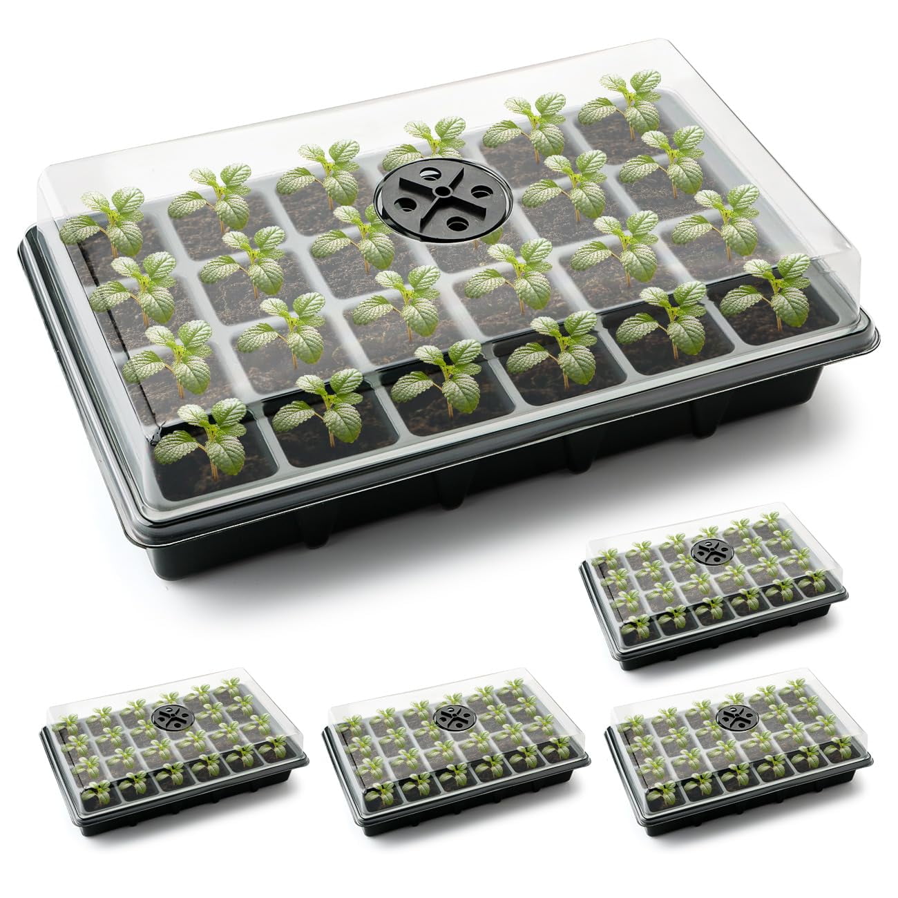 RooTrimmer Seed Starter Tray with Dome-5 NSD3 Sets 24XL Trays(Total 120 ...