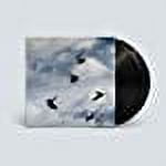 Rookery Giant Rooks (Vinyl Record) - Walmart.com