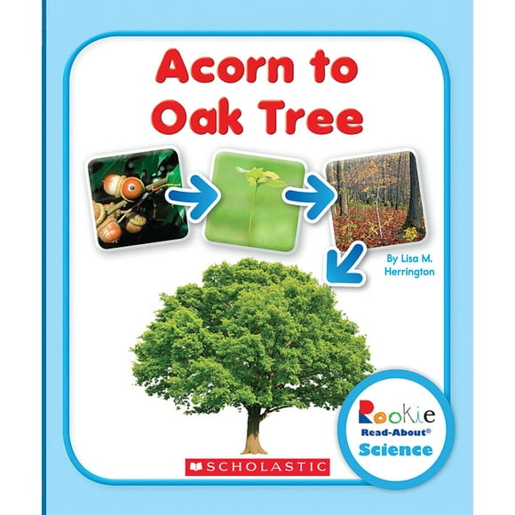 Oak Tree Life Cycle