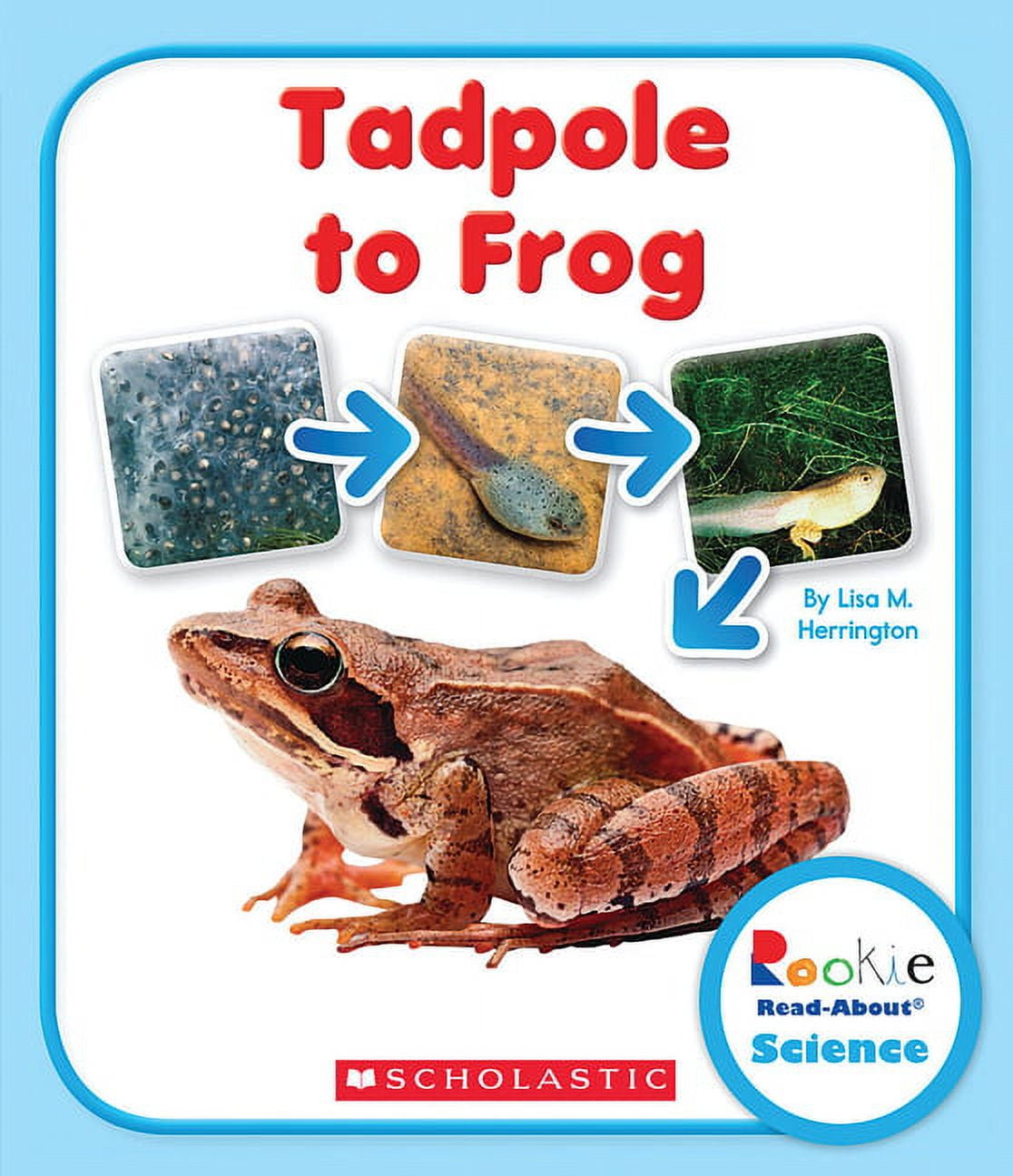 Rookie Read-About Science Tadpole to Frog (Rookie Read-About Science ...