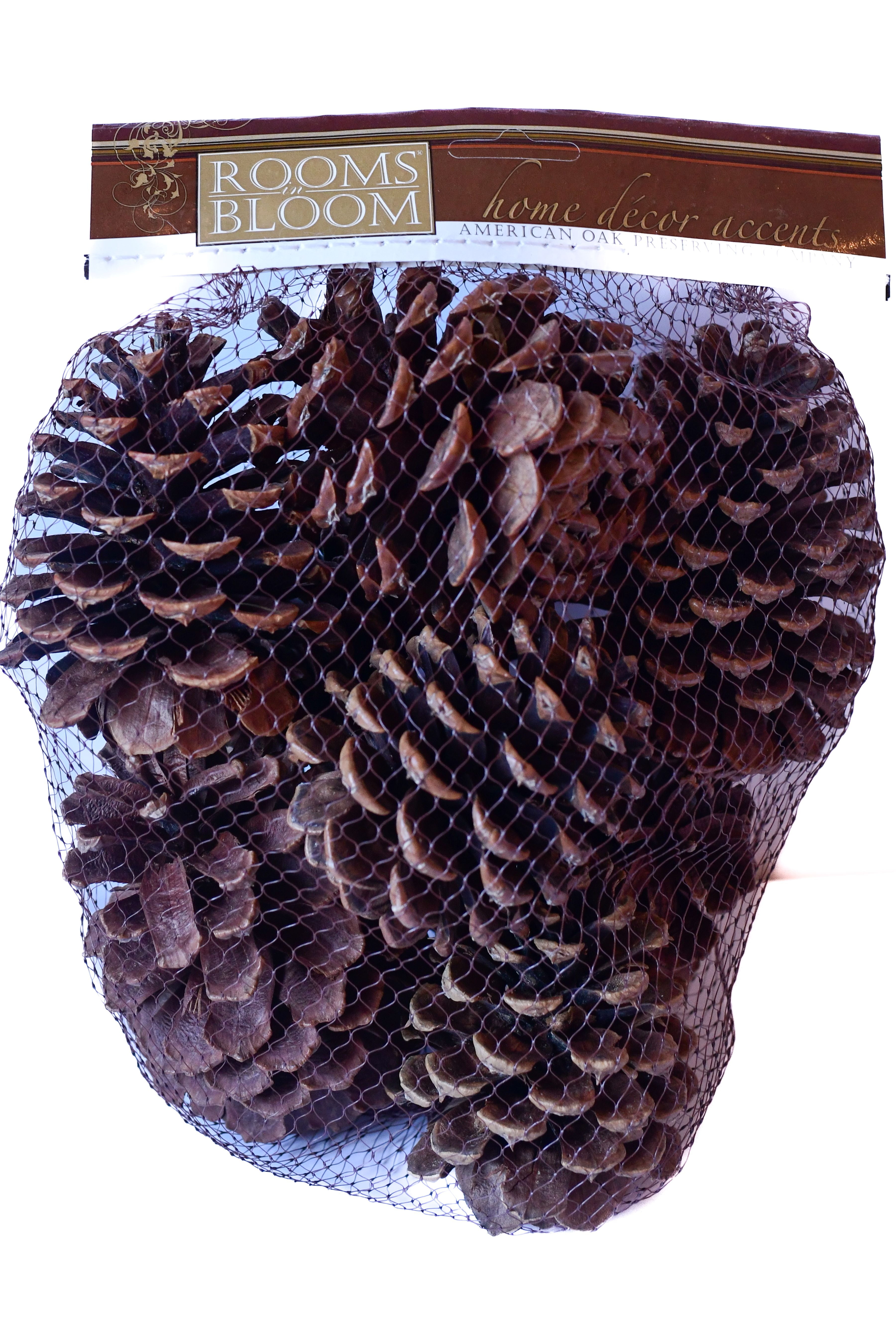 Rooms in Bloom 100% Natural Brown Pinecones Vanilla Scent Pine Cones ...