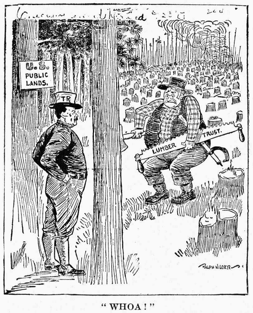 Roosevelt Cartoon, 1900S. /Ncartoon From The Chicago 'Record - Walmart.com