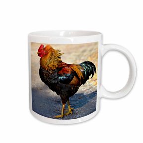 Colorful Rooster Mugs Collection for Unique Coffee Experience