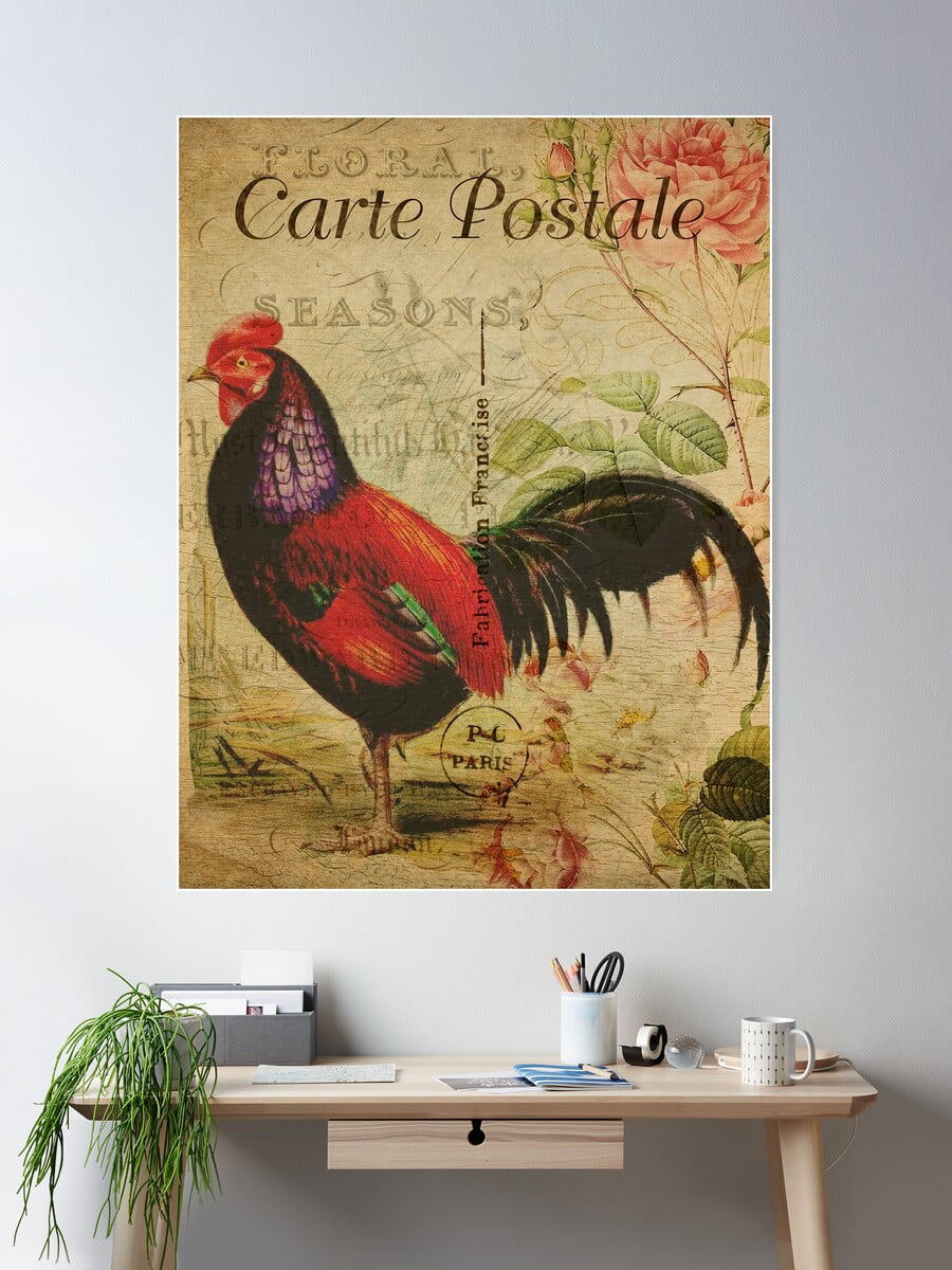 Rooster Cock Vintage Postcard Carte Postale Shabby Chic Poster Wall Art ...