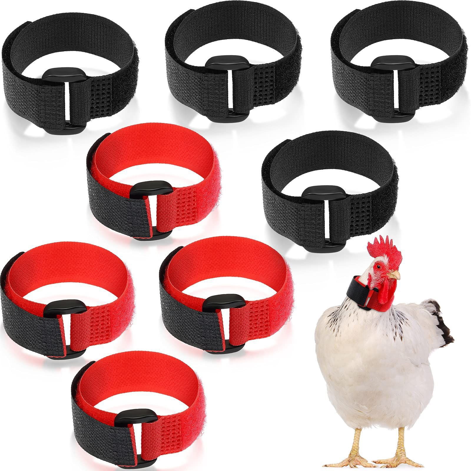Rooster Collars, 8 pack Adjustable Anti-Noise Neck Belt for Chickens ...