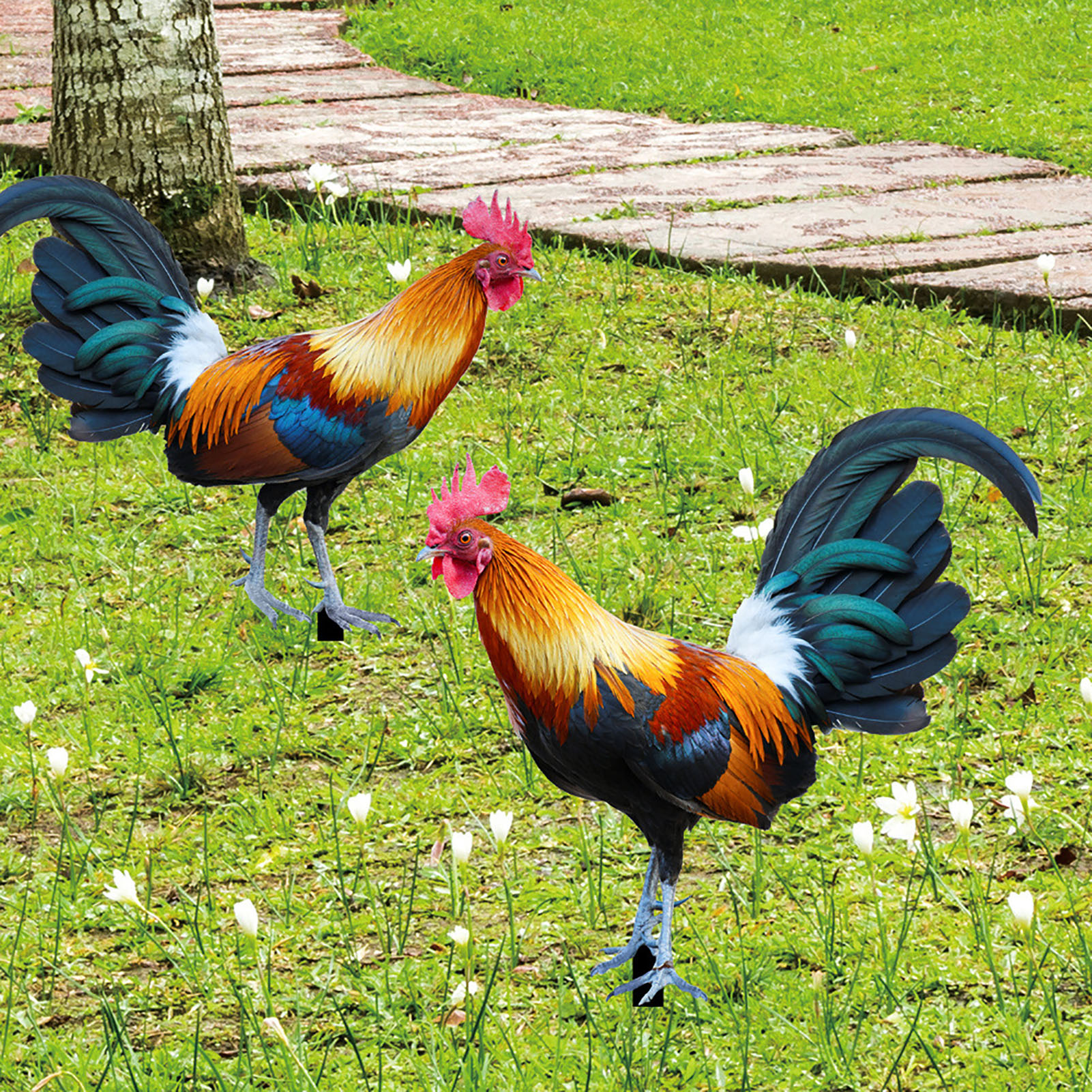 Rooster Stake Realistic Looking Weather-proof Sharp Tip Non-fading ...