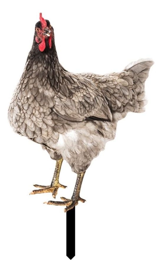 Rooster Statues, Sculptures, Chicken Decorations, Garden - Walmart.com