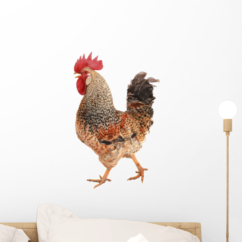 Rooster Wall Decal Sticker by Wallmonkeys Vinyl Peel and Stick Graphic ...