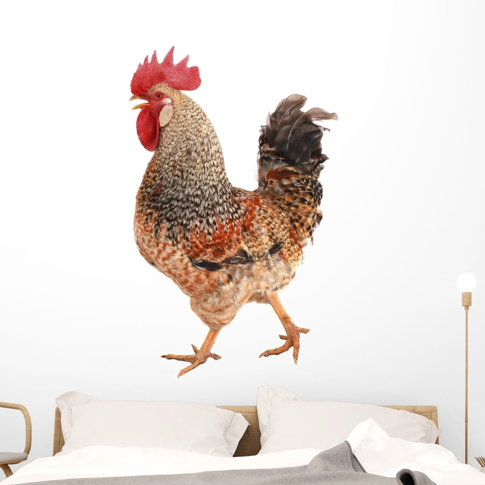 Rooster Wall Decal Sticker by Wallmonkeys Vinyl Peel and Stick Graphic ...