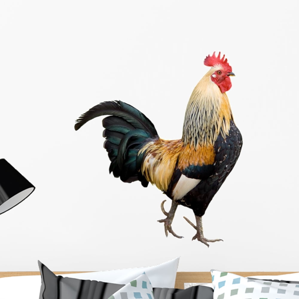Rooster White Wall Decal by Wallmonkeys Peel and Stick Graphic (24 in H ...