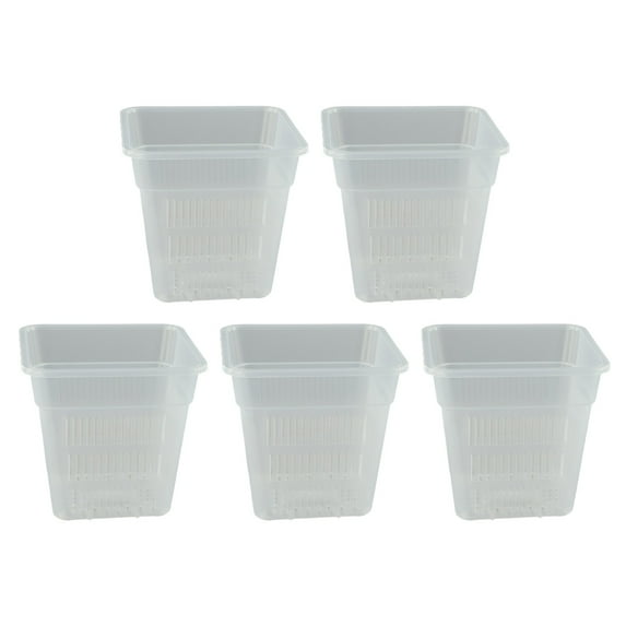 Root Observation Square Pot Designed for Optimal For plant Growth ...