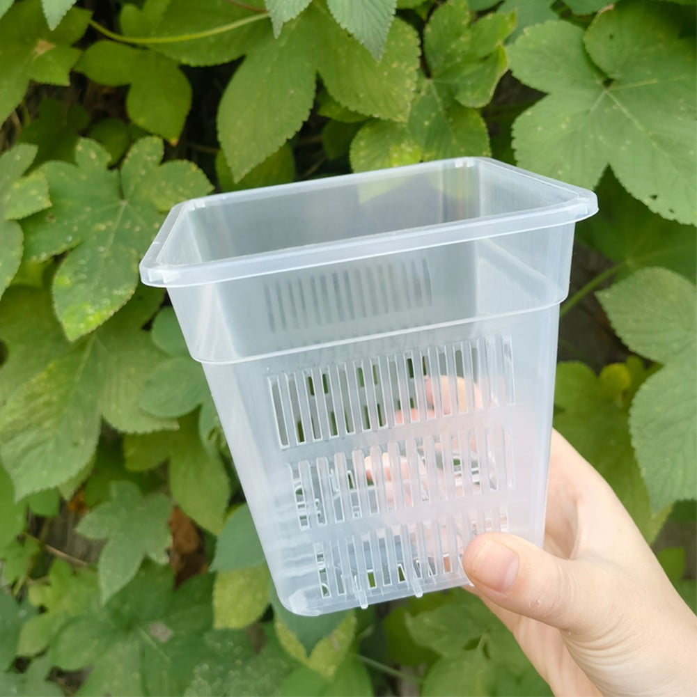 Root Observation Square Pot Designed for Optimal For plant Growth ...