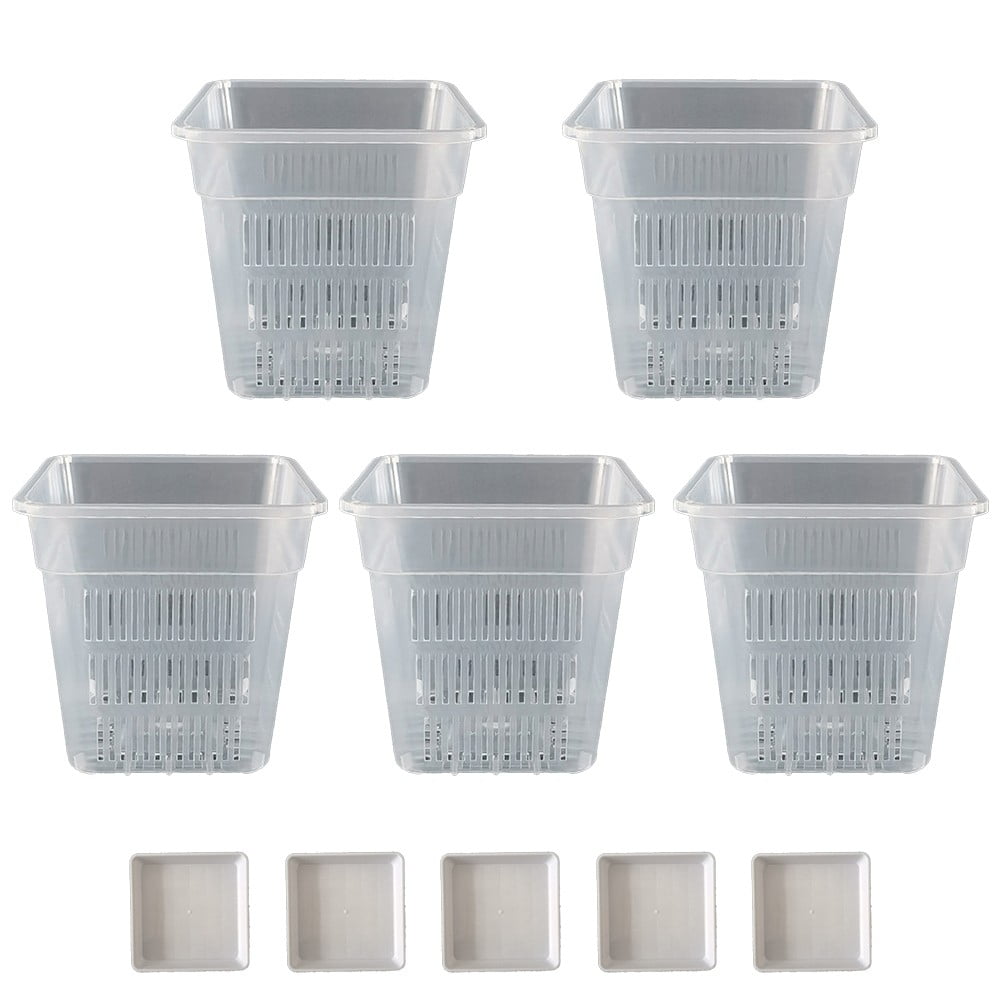 Root Observation Square Pot Designed For Optimal For Plant Growth ...