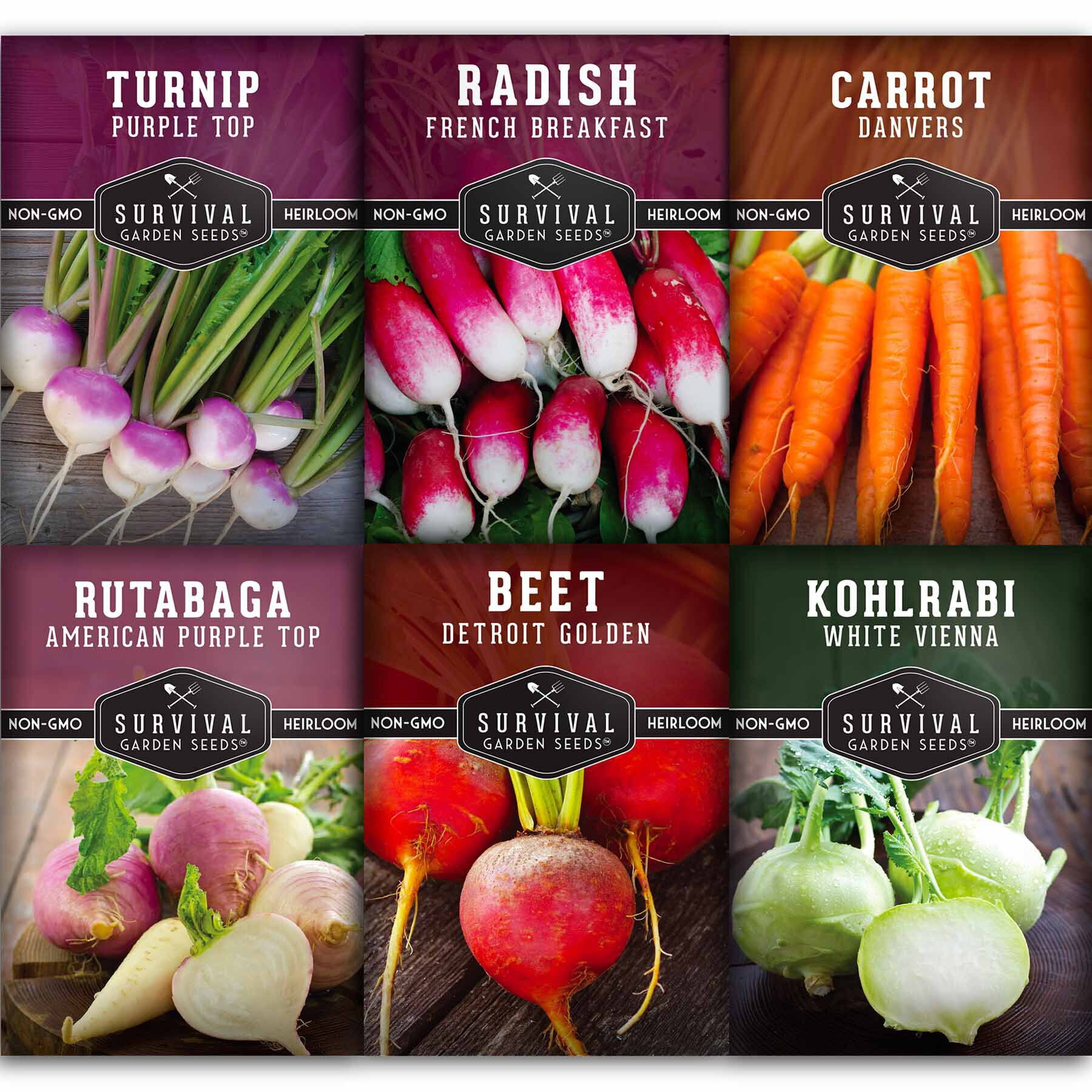 Survival Garden Seeds: 6 Packs - Turnip, Radish, Carrot, Rutabaga, Beet ...