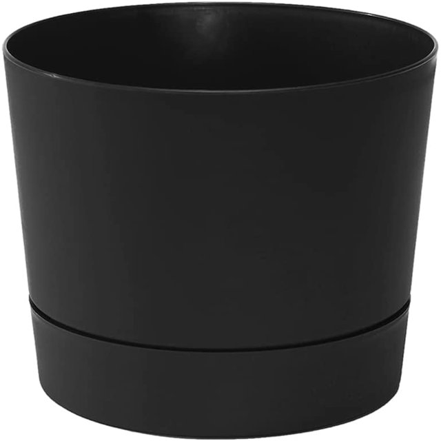 Root & Vessel Majestic Mid-Century Modern Low Profile Cylinder Pot ...