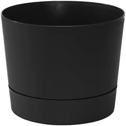 Root & Vessel Majestic Mid-Century Modern Low Profile Cylinder Pot ...