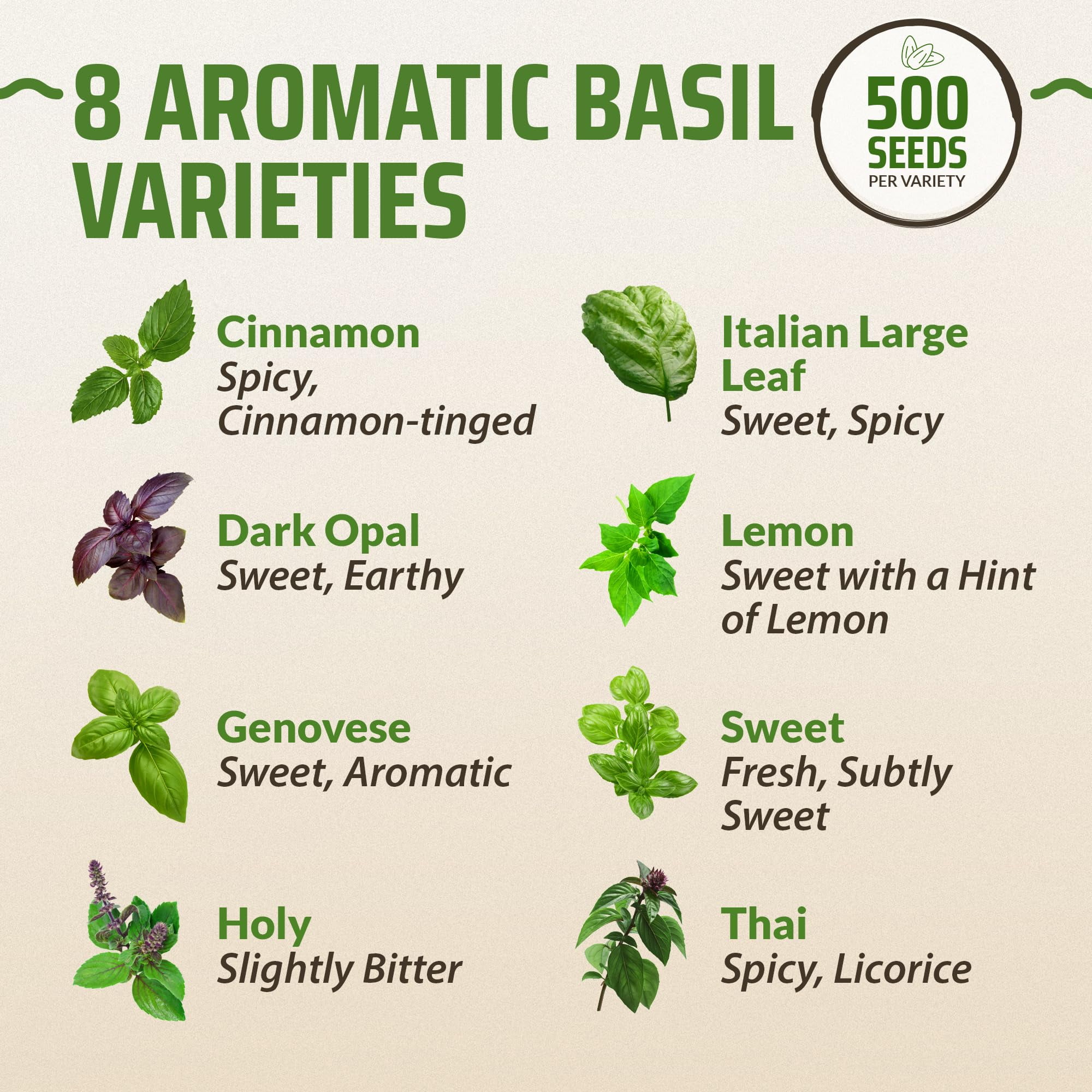 Rooted Acre 8 AJH3 Basil Herb Seeds Pack - 4,000+ 𝗡𝗢𝗡-𝗚𝗠𝗢 𝗨𝗦𝗔 Seeds ...