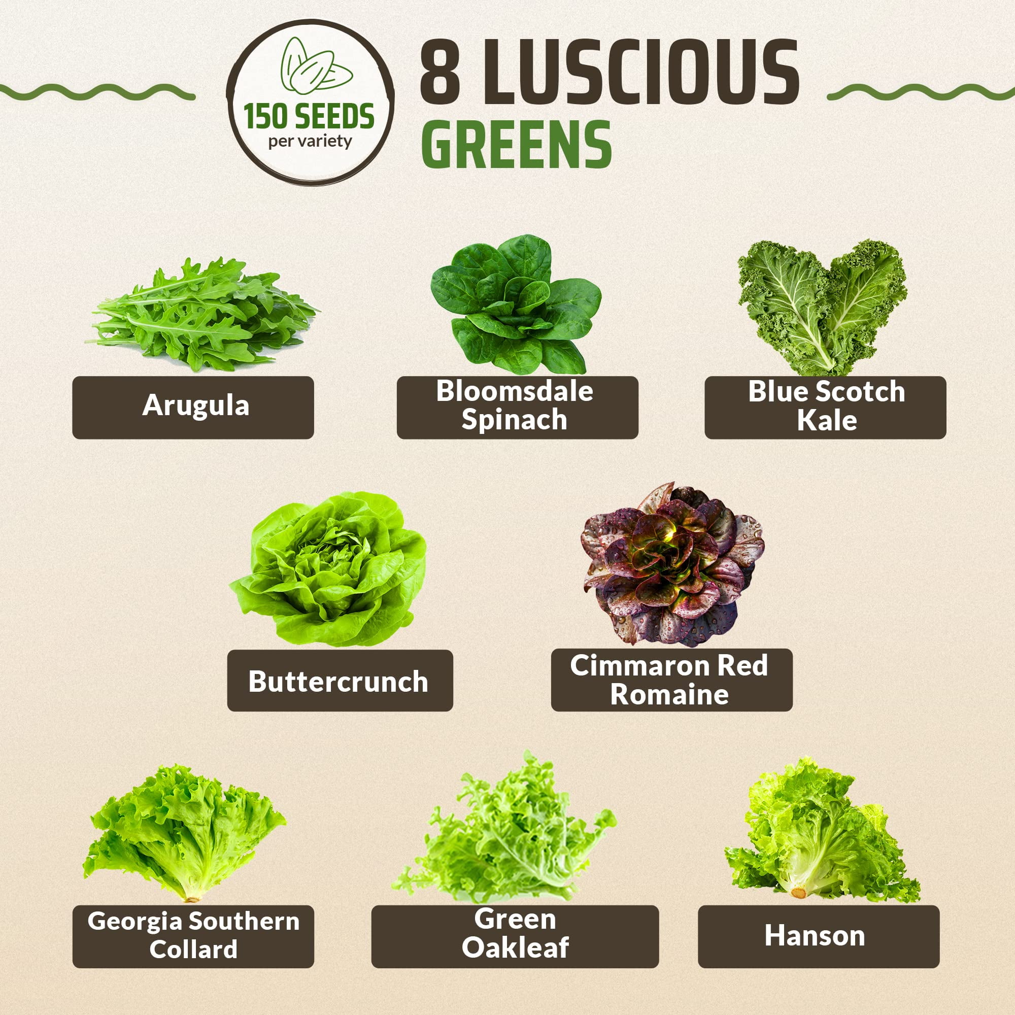 Rooted Acre 8 AJH3 Lettuce & Greens Seed Vault - 1200 Vegetable ...