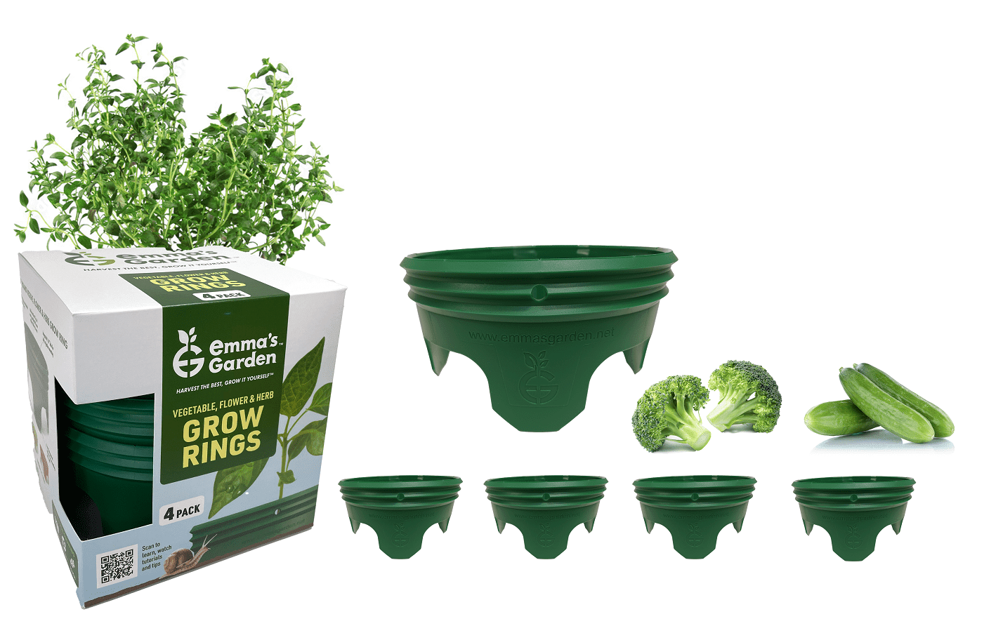 Rooted Promise 7-inch Plant Grow Rings Round, 4 Pack for Veggies, Herbs ...