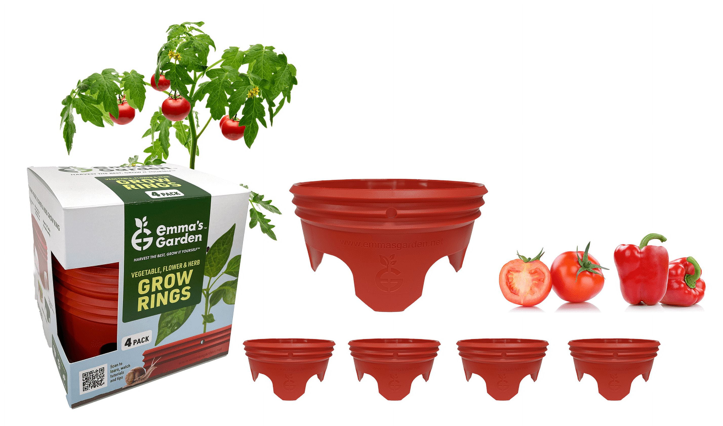 GROWinRING 7-inch Plant Grow Rings for Veggies, Herbs, Flowers, and ...