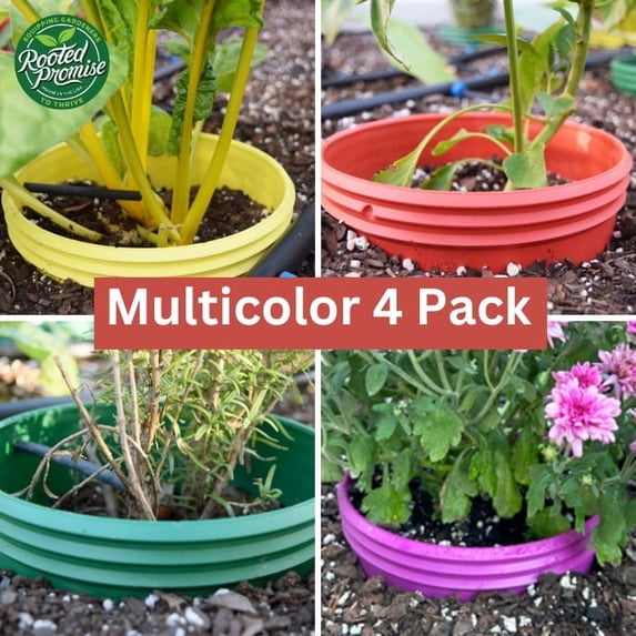 Rooted Promise 7-Inch Plant Grow Rings, Watering Tool for Garden Plants ...
