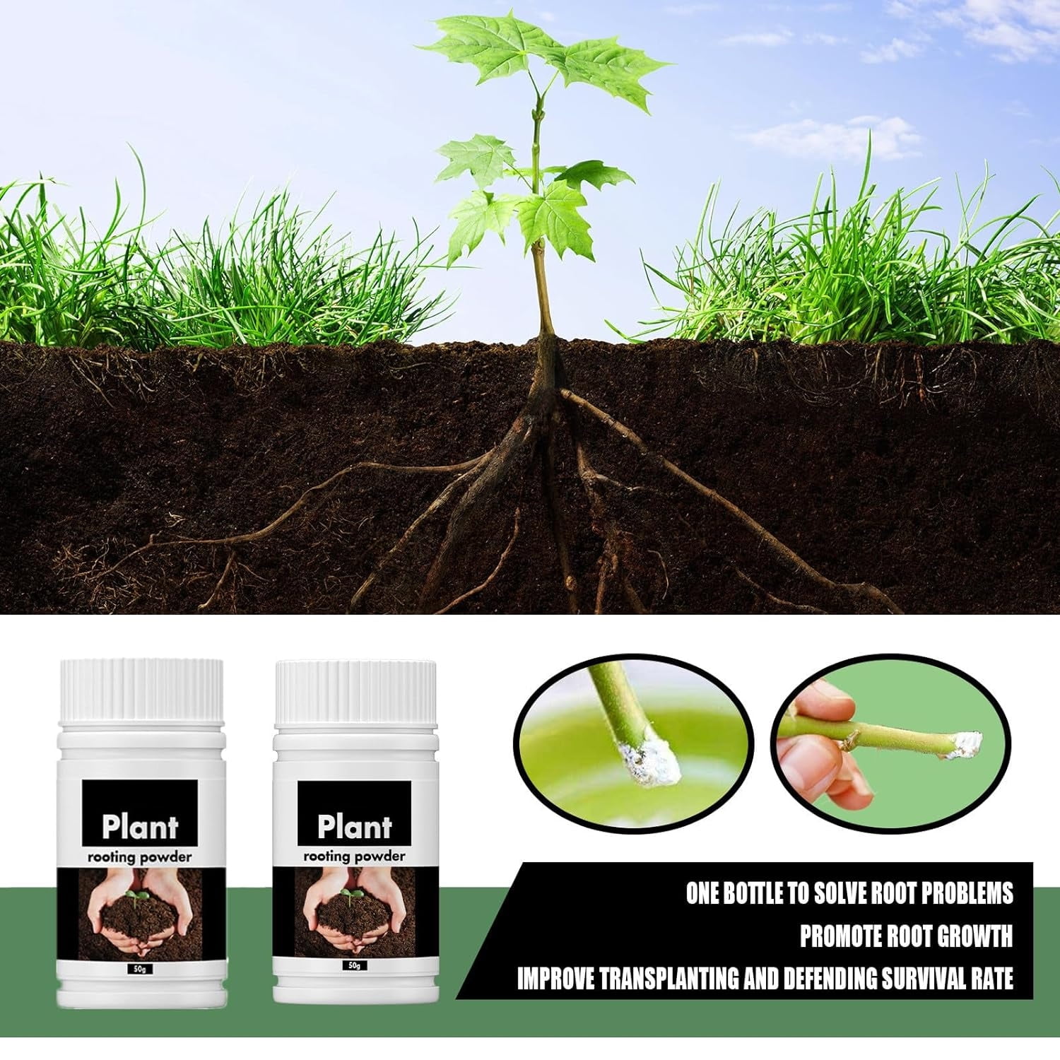 Rooting Hormone for Cuttings, 50g Root Rooting Hormone, Rooting Hormone ...