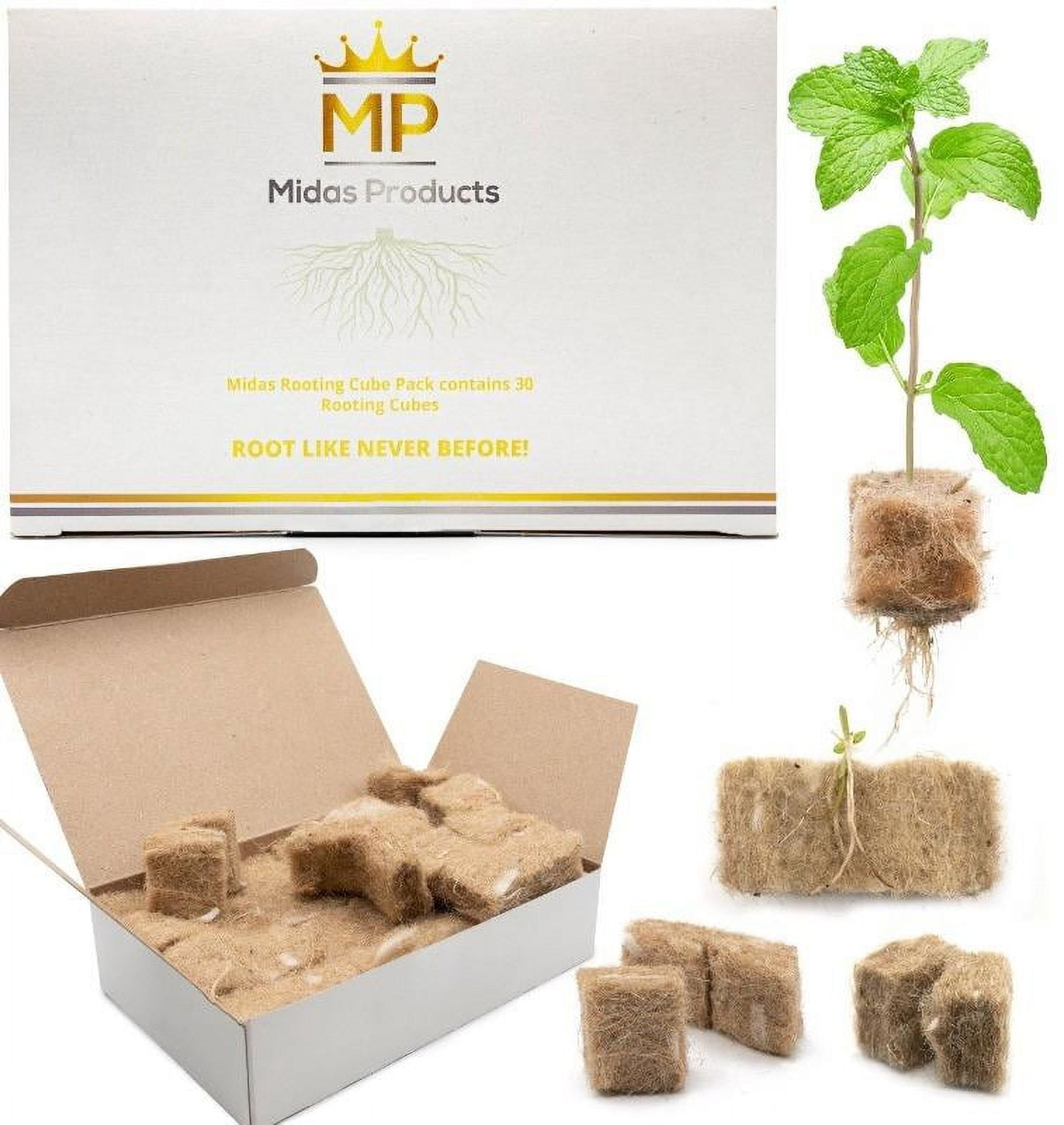 Midas Hydroponic Rooting Promoter Cubes - Plant Cloning Kit - 30 1x1 inch Seed Starter Plugs ...